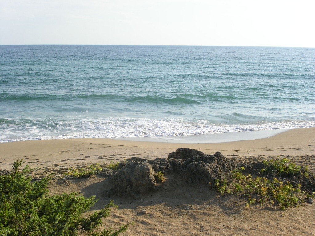 How to use molto, tanto, poco, troppo, parecchio - I learn Italian