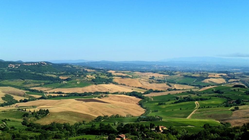 I verbi regolari: il presente indicativo - I learn Italian